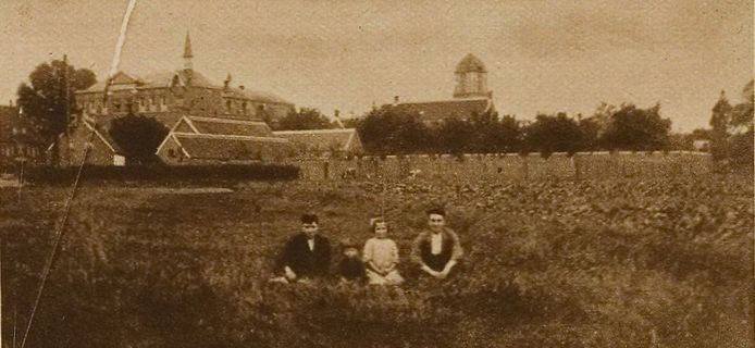 Proefhoeve Bottelare uitzonderlijk open voor publiek | Merelbeke | hln.be