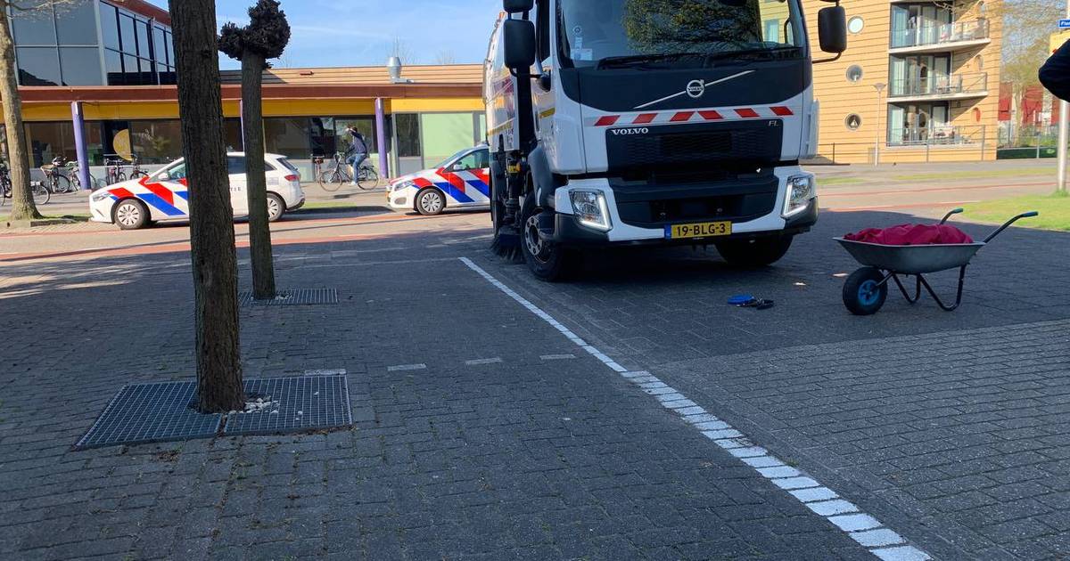 Hond dood na aanrijding met veegwagen in Hardenberg: baasje naar ziekenhuis | Binnenland ...