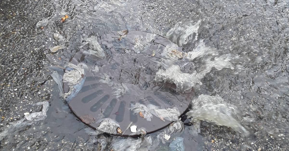 Poep en gebruikt toiletpapier blijft maar de straat opdrijven in ...