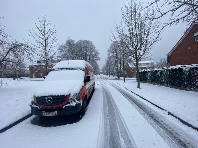 IN BEELD. Prachtige sneeuwtaferelen in Limburg, dierenwinkel maakt ...