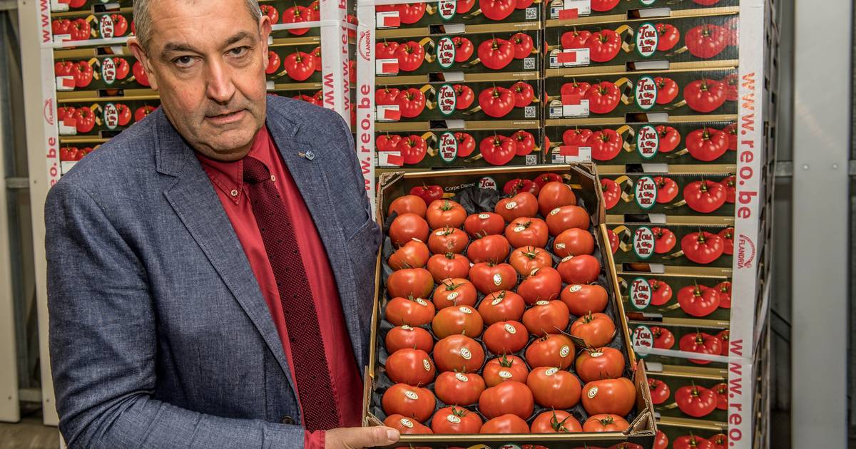 REO-veiling beleefde absoluut recordjaar | Roeselare | hln.be