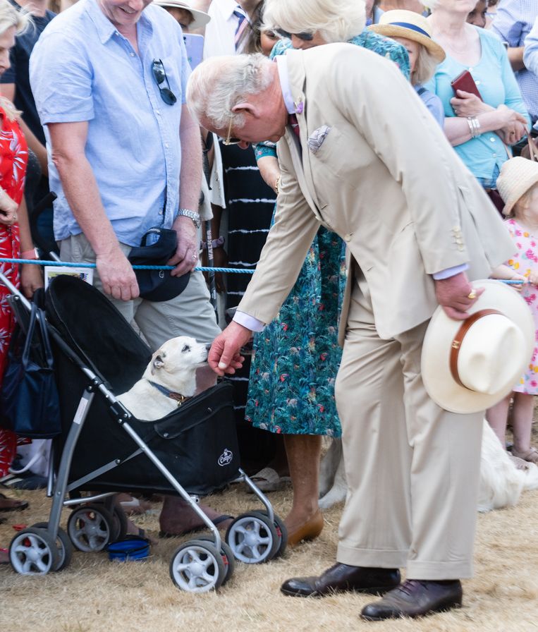 Schattig: koning Charles zet déze nieuwe trend