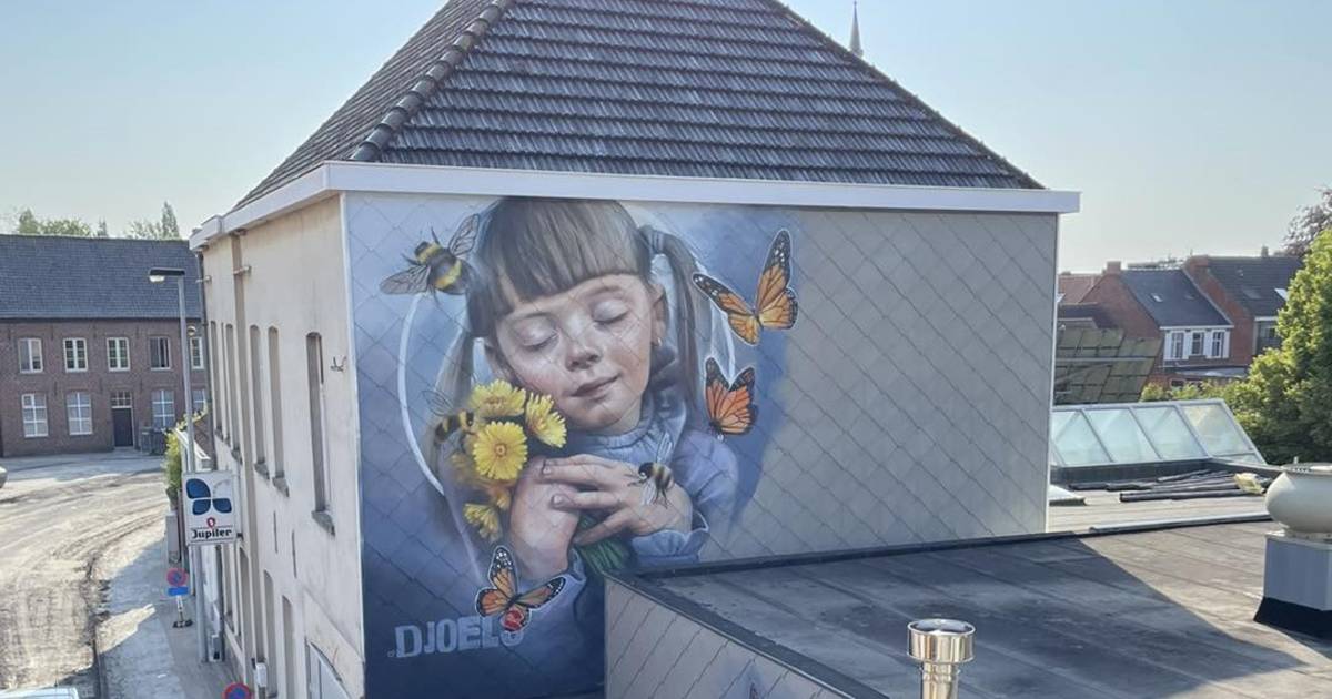 Graffitikunstenares Djoels neemt zijgevel van jeugdhuis De Vlinder ...