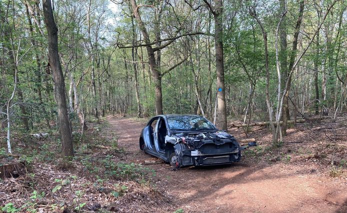Boswachter niet verbaasd over totaal leeggeroofde auto op verlaten ...
