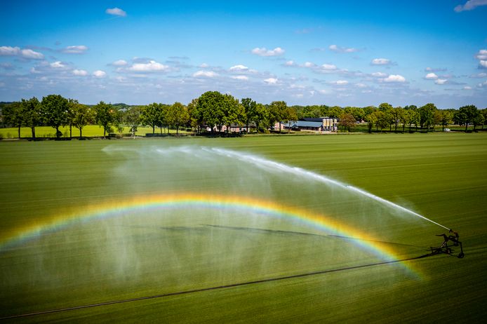 Sproeien met water uit sloten en rivieren mag weer: verbod dankzij vele ...