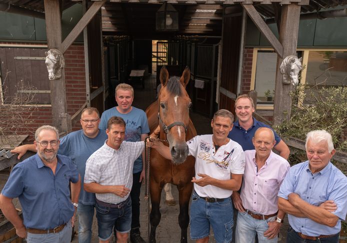Handjeklap en handel in Enter bij 52ste paarden- en ponymarkt ...