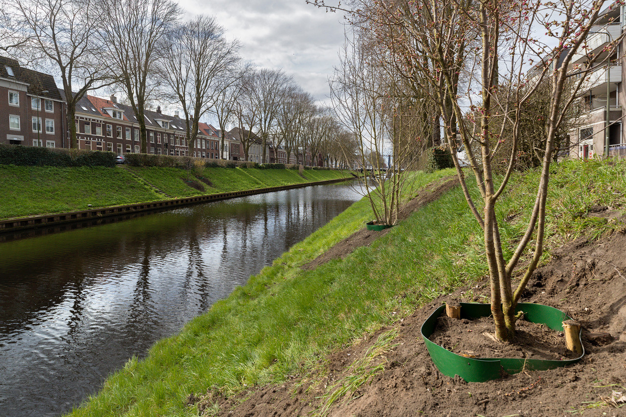Te huur: 3000 m2 naast Zuid-Willemsvaart. Gemeente zoekt ‘vernieuwende ...