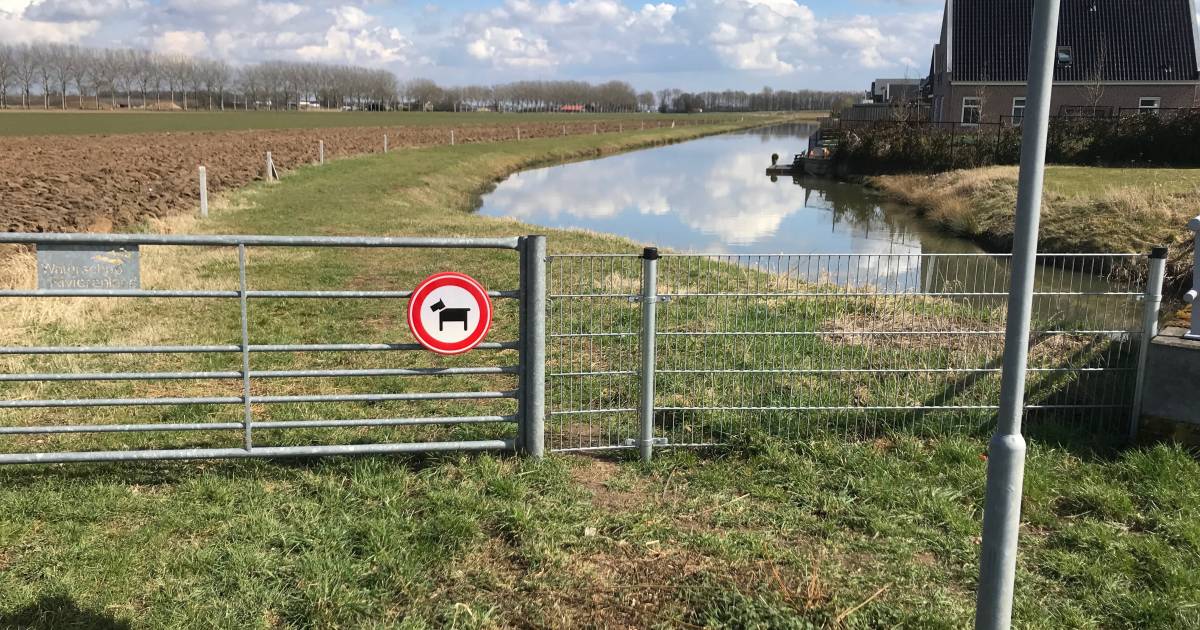 Ruzie om wandelpad: politiek Overbetuwe grijpt in | Overbetuwe ... Ruzie om wandelpad: politiek Overbetuwe grijpt in | Overbetuwe ...