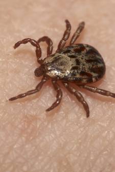 Tubantia.nl, het laatste nieuws uit Twente en de Achterhoek | tubantia.nl