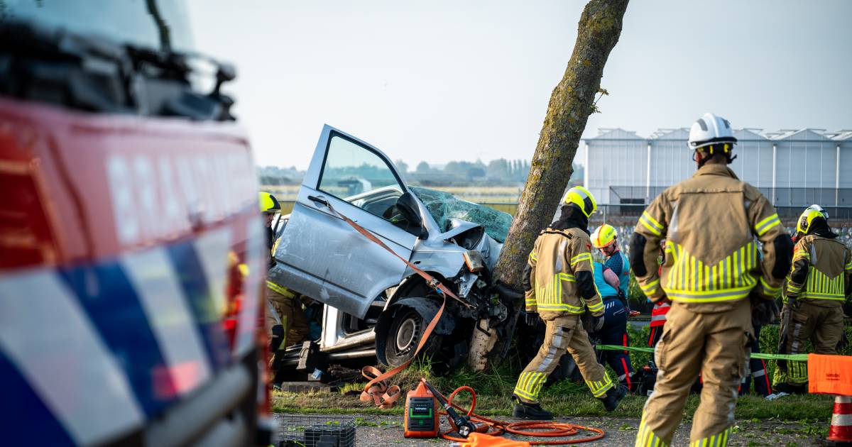Zwaargewonde bij ernstig ongeluk op N455: bestelbus knalt tegen boom, weg dicht | 112 nieuws ...
