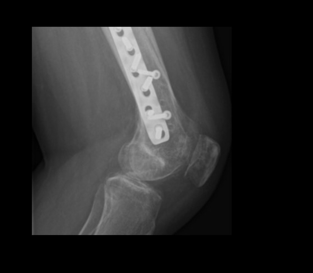 Lange autorit en voeten op het dashboard? Doe het alsjeblieft nooit ...