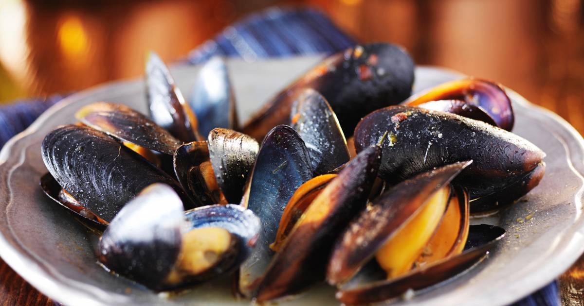 Mosselen en oesters uit de Oosterschelde bevatten mogelijk giftige stof ...