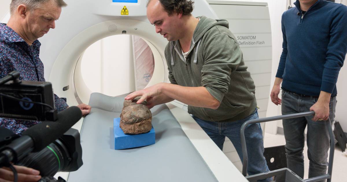 70 miljoen jaar later toont CT-scanner in JBZ mogelijk embryo baby-dino ...
