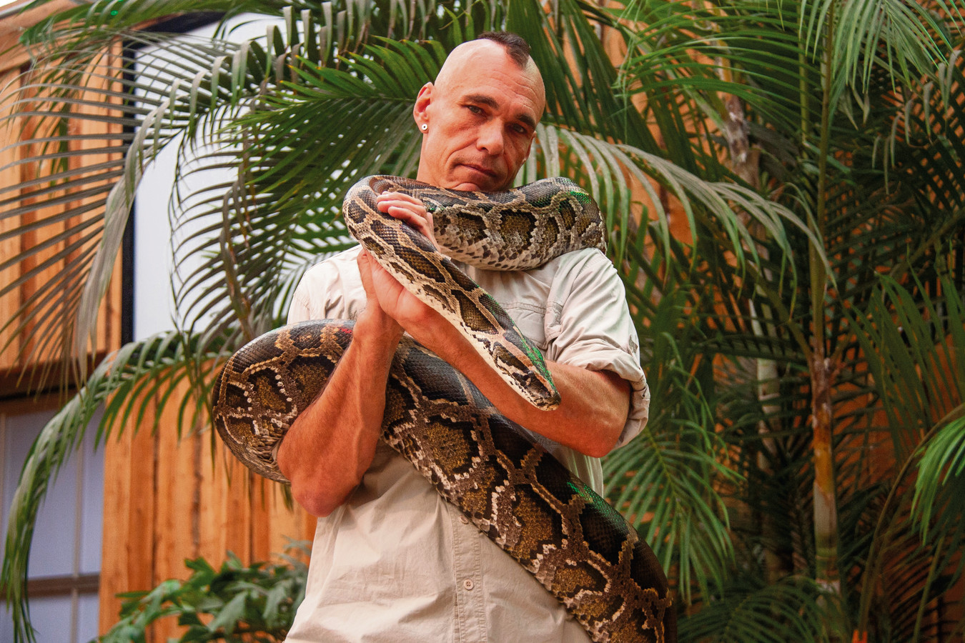 Weekendtips: Hattem vol met chocola en opening schaatsseizoen | Foto ...