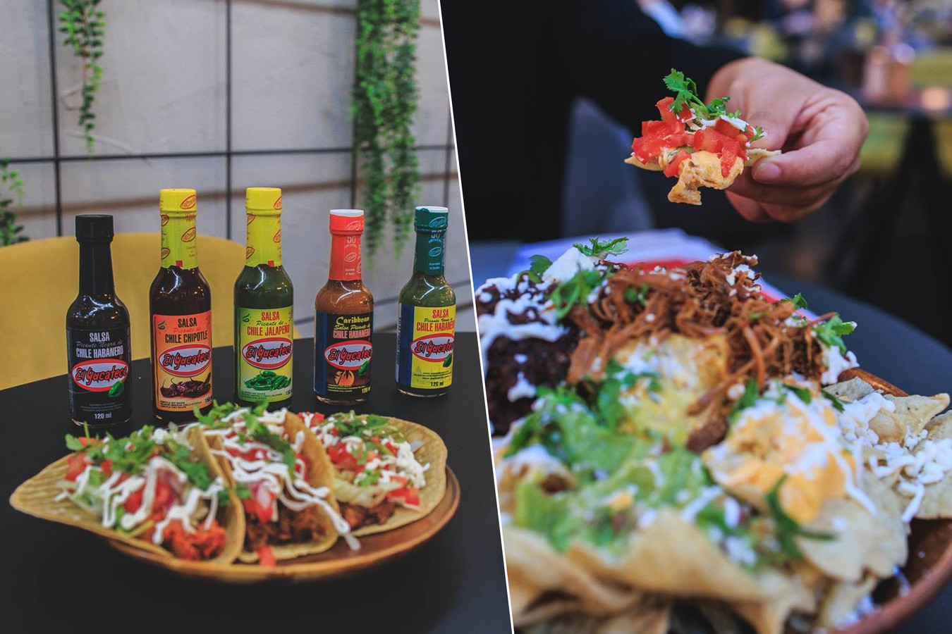 Taco's van Alma Libre komen naar Antwerpen: “Elke taco wordt ...