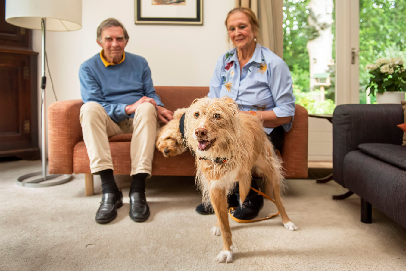 Mens Dier Nood helpt ziek huisdier arme Tilburgers: ‘Ik kon wel huilen ...