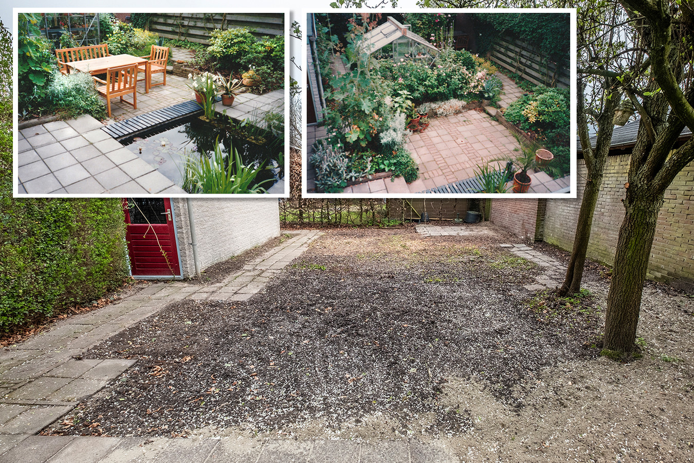 ‘Opknap’ van wilde tuin door woningcorporatie wekt verbazing: ‘Ze ... ‘Opknap’ van wilde tuin door woningcorporatie wekt verbazing: ‘Ze ...