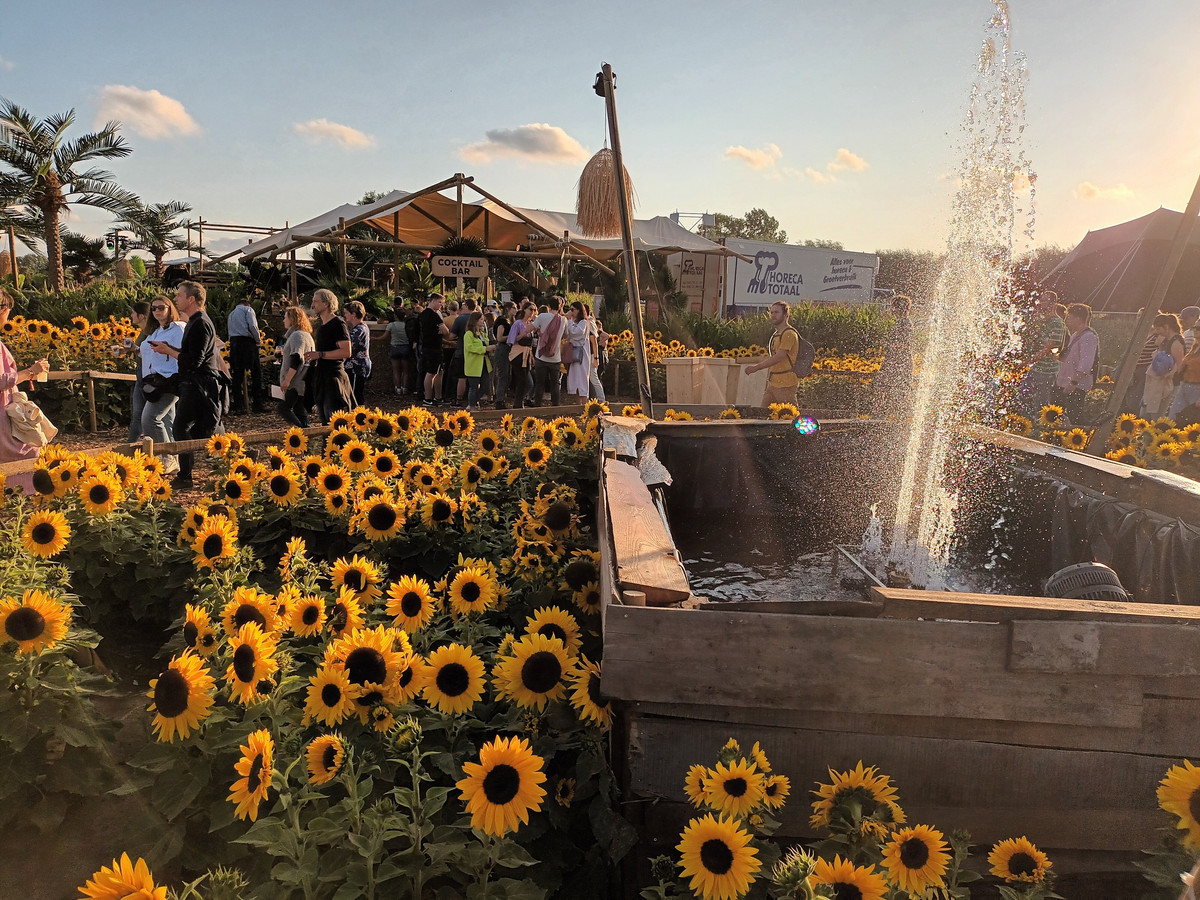 IN BEELD. Campo Solar in Damme start onder stralende zon | Foto | hln.be