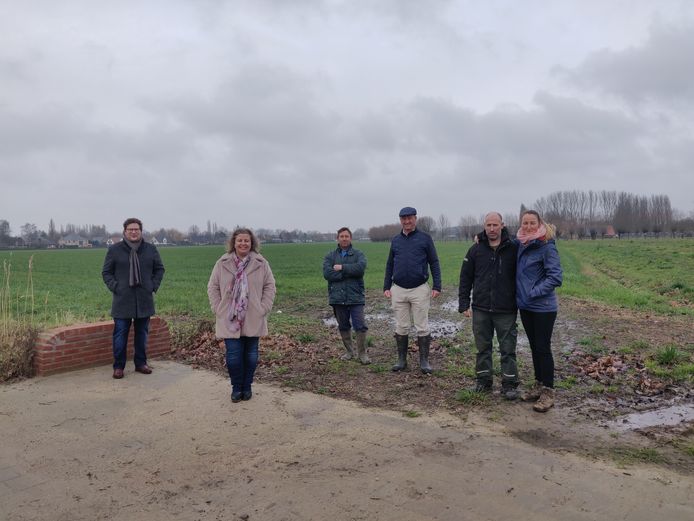 Bedreigde bloemenplukweide vindt nieuwe locatie naast sportcentrum in ...