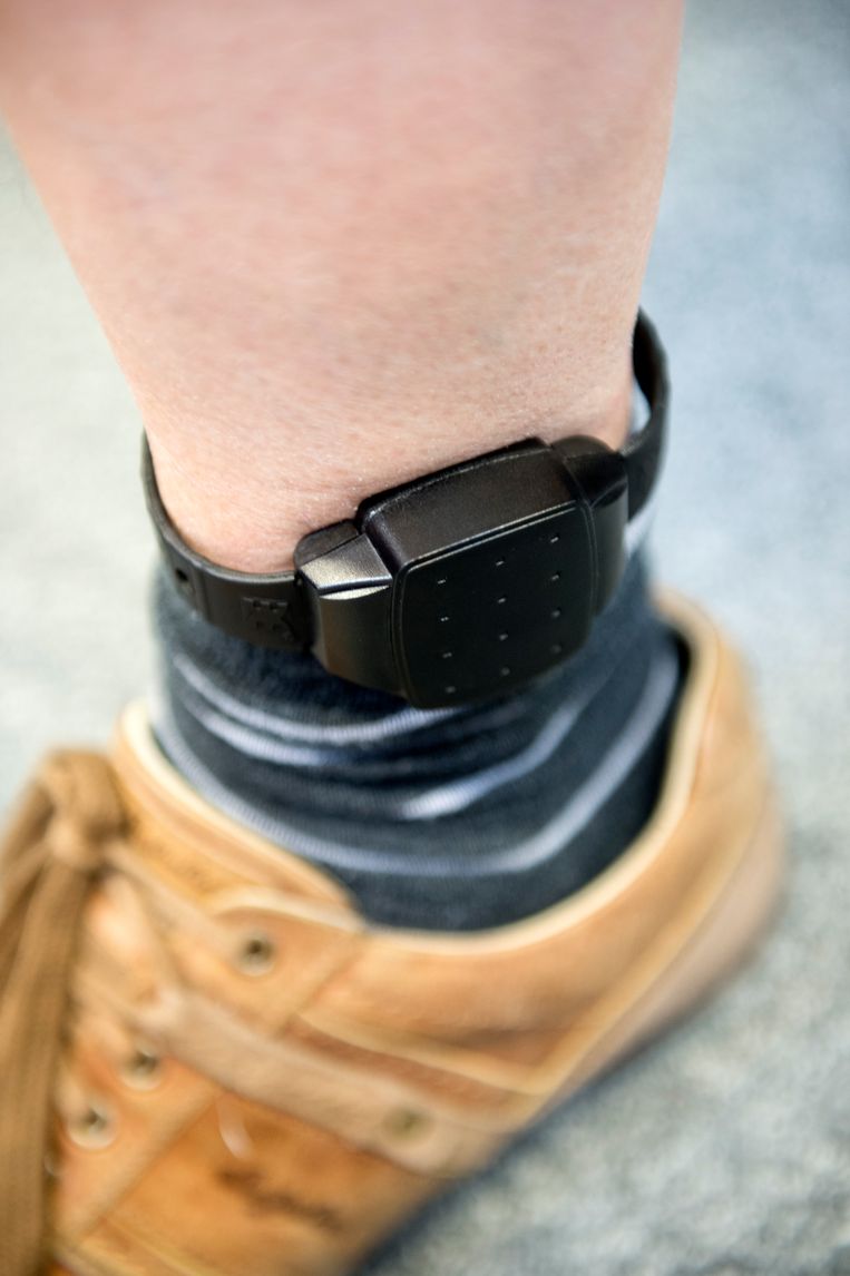 Populariteit van enkelband verschilt van plaats tot plaats | De Morgen