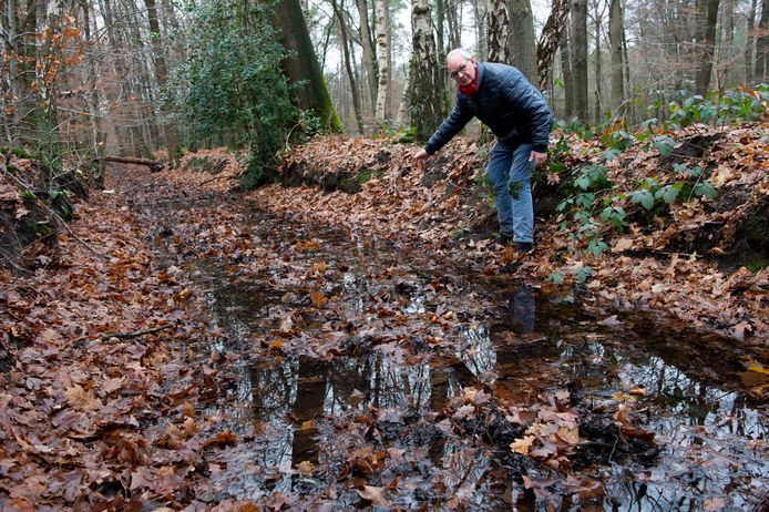 ‘Ader’ van Apeldoorns bekennetwerk droogt steeds verder op | Apeldoorn ...