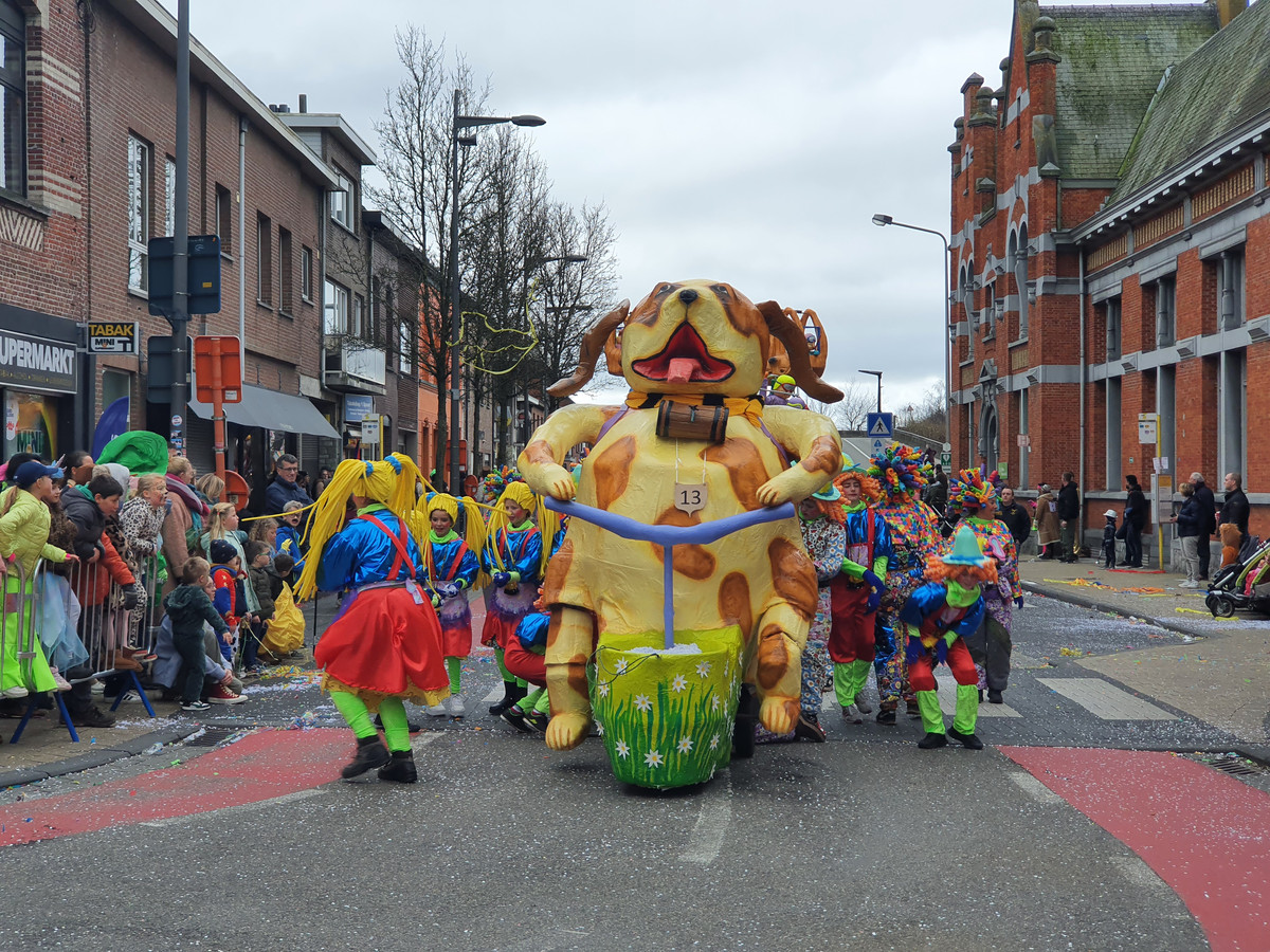 IN BEELD. Carnavalsstoet in Ossenkoppenstad | Foto | hln.be