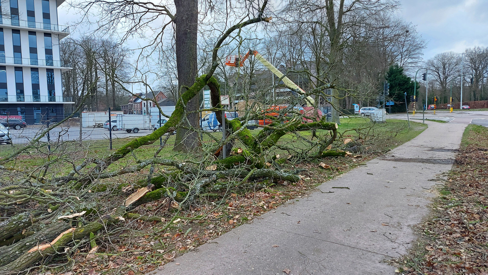 Talloze meldingen van stormschade in stadsregio Turnhout | Foto | hln.be