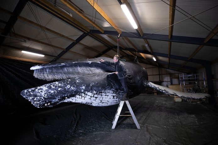 Van carnavalswagens naar kolossale walvis: Jim (30) uit Bergeijk bouwt ...