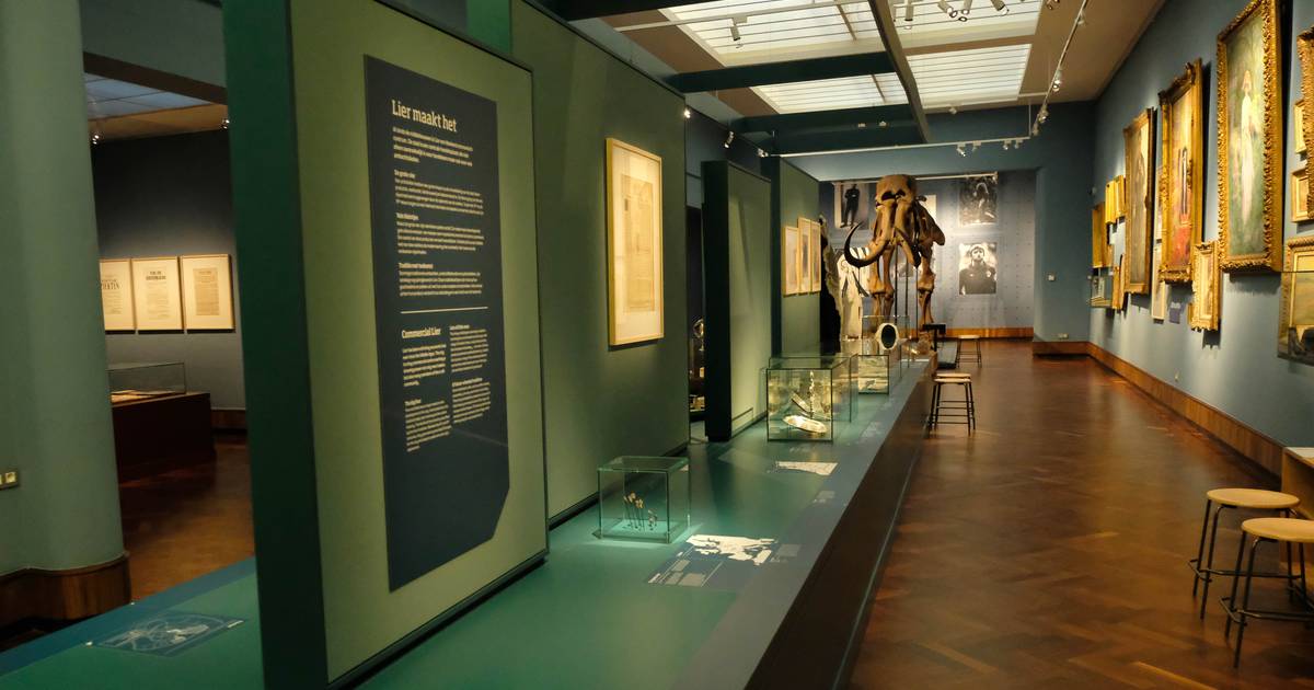 Stadsmuseum Lier koopt voor ruim 3.000 euro tekeningen van Fred ...