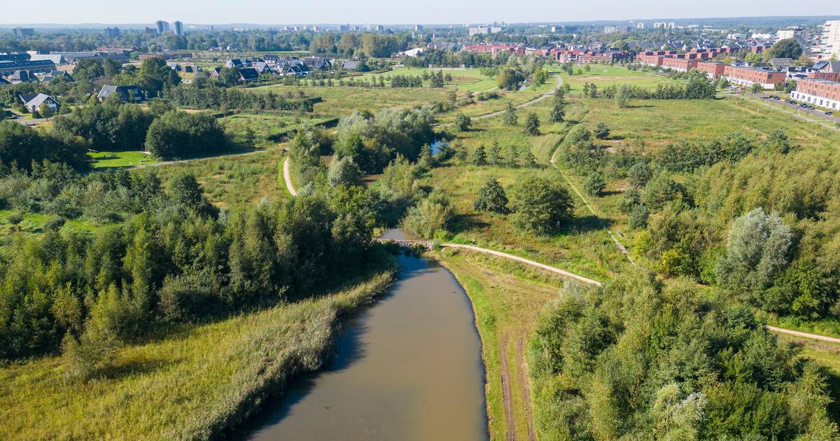 Meer dan veertig tips na uitzending Opsporing Verzocht over ...