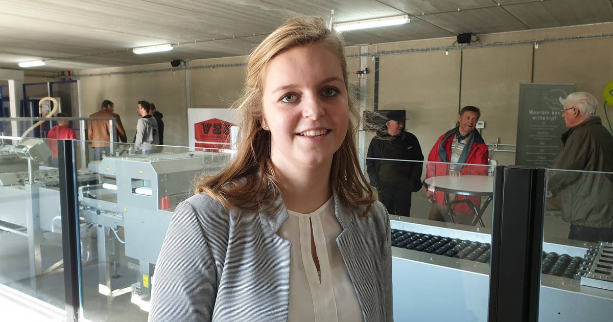 Maureen (20) opent kippenbedrijf: “Boerenstiel combineren met studies ...