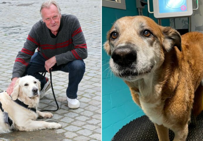 Paschadag in het Hol van Pluto: Pol Goossen toont zijn groot dierenhart ...