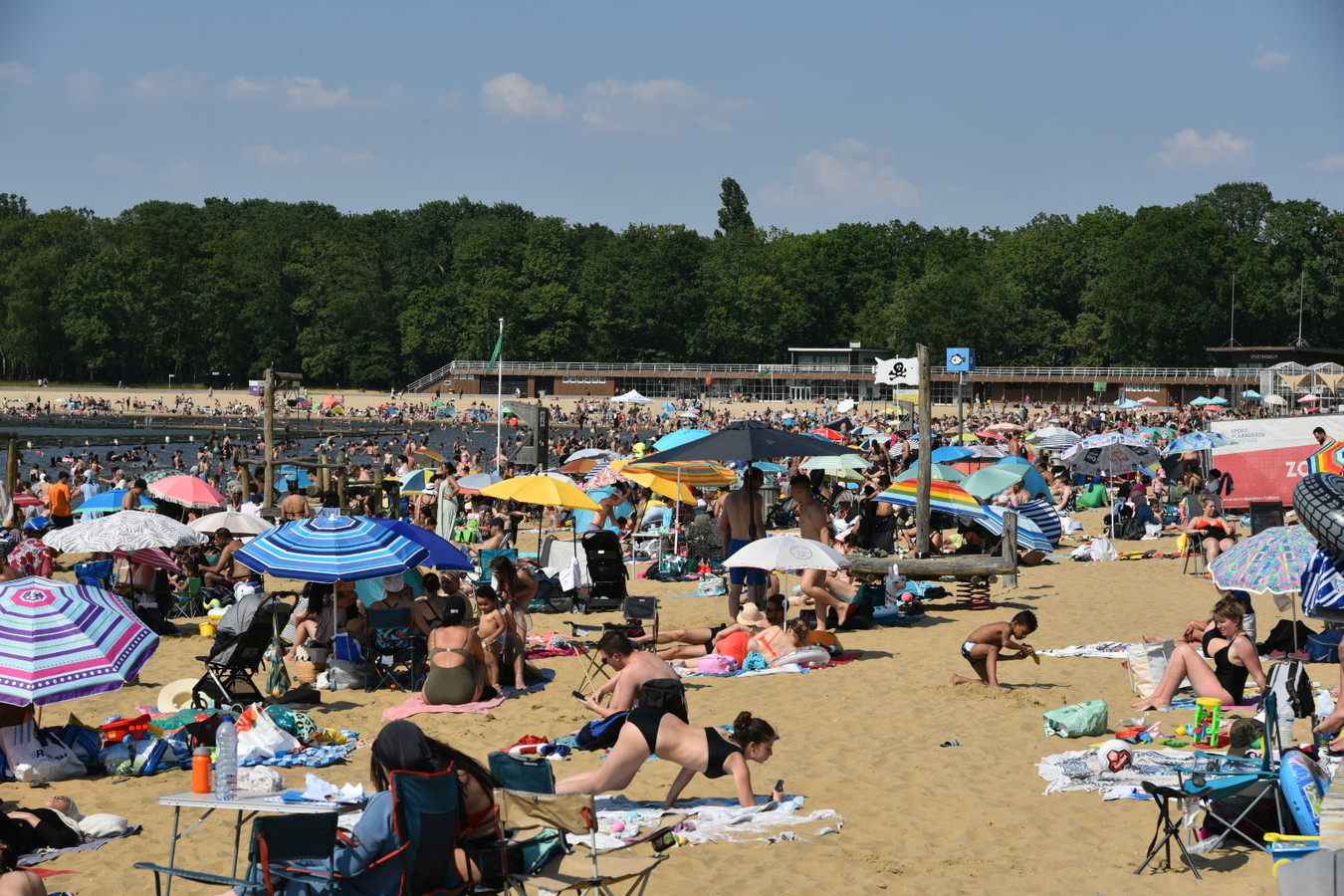 Over de koppen lopen in uitverkocht Domein Sport Vlaanderen in Hofstade ...