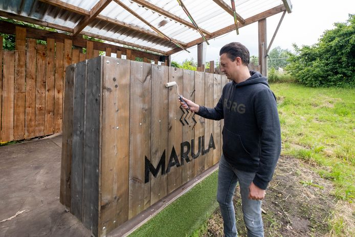 Zomercafé Rupel palmt tweede jaar op rij Rupeldijk in: “Gaan voor ...