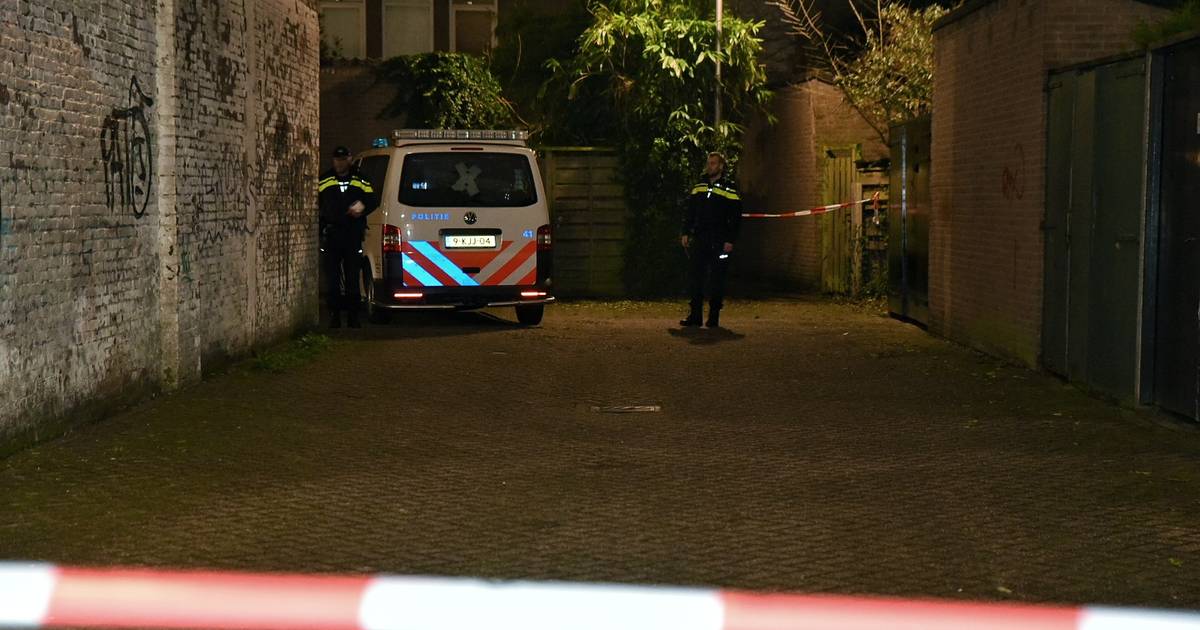 Dode vrouw gevonden in steeg Tilburg, politie vermoedt misdrijf, buurt geschokt | Brabant | ed.nl