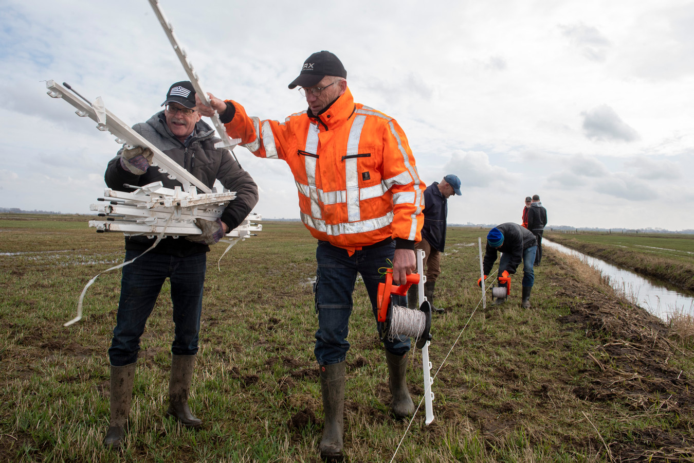 Kilometer lang hek weert roofdieren uit polder Arkemheen in ...