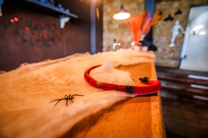 Jilles Beer and Burgers geeft gratis burger aan klanten die op ...