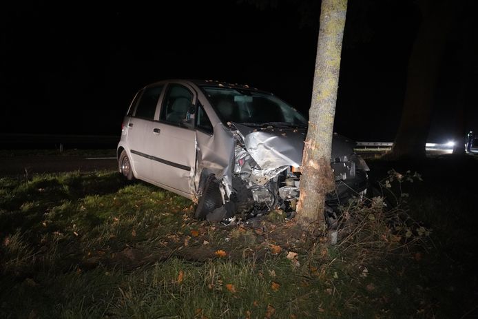 Vrouw botst met auto tegen boom in Meppel en raakt gewond | Meppel | destentor.nl