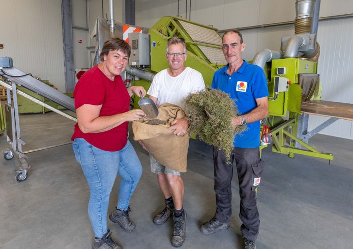 Zadenspecialist Takii uit de as herrezen: Thoolse vestiging is twee ...