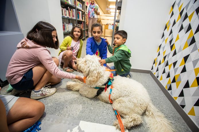 Beter leren lezen met de hulp van een kwispelende vriend | Tessenderlo ...