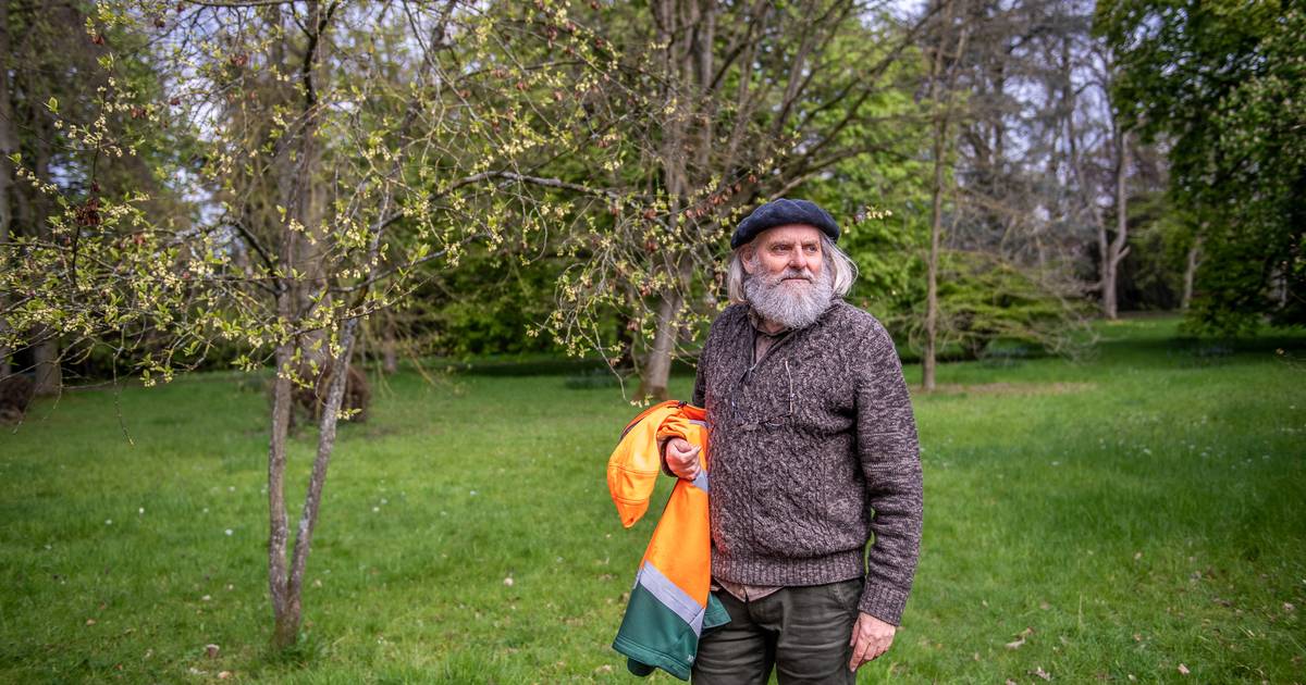 Bart Backaert geeft bomenlezing in het Rubenshuis: “Kunstgeschiedenis ...