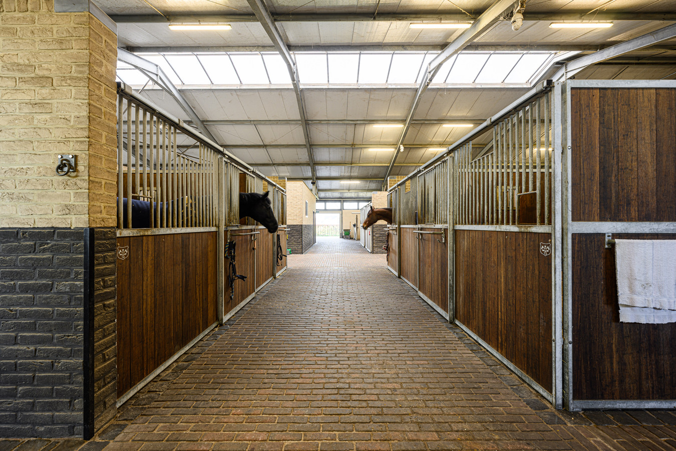 BINNENKIJKEN. Deze hypermoderne manege kan van jou zijn voor net geen 5 ...