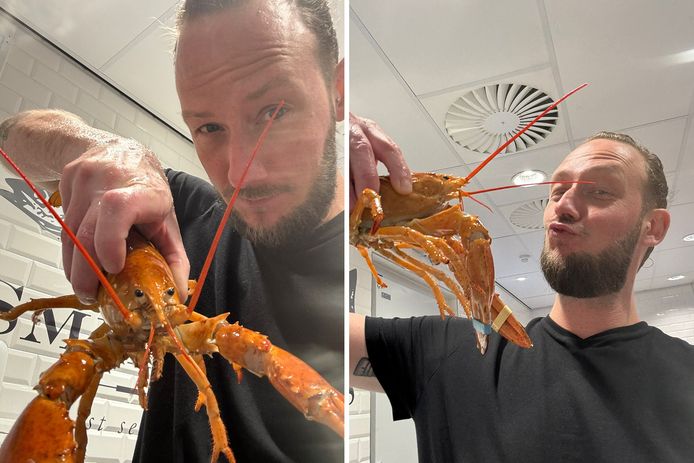 Arnhemse kok eet zeer zeldzame kreeft op: ‘Nu ik dit weet, heb ik wel ...
