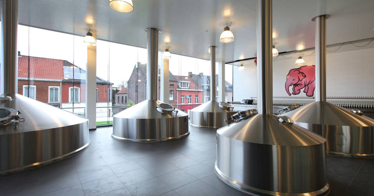 Brouwerij van Delirium Tremens dan toch gered? CO2-leverancier verliest proces en moet blijven ...