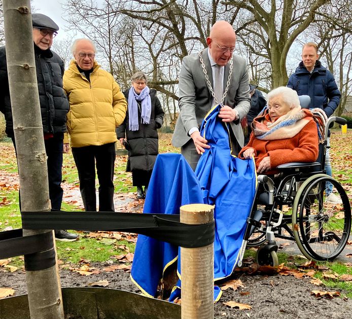 Levensboom voor honderdjarige Ella Damen-Lammers uit Nuenen | Nuenen ...