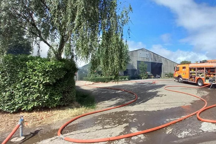 Zware schuurbrand in Zonnegem nadat hooi vuur vat: twee jaar geleden ...