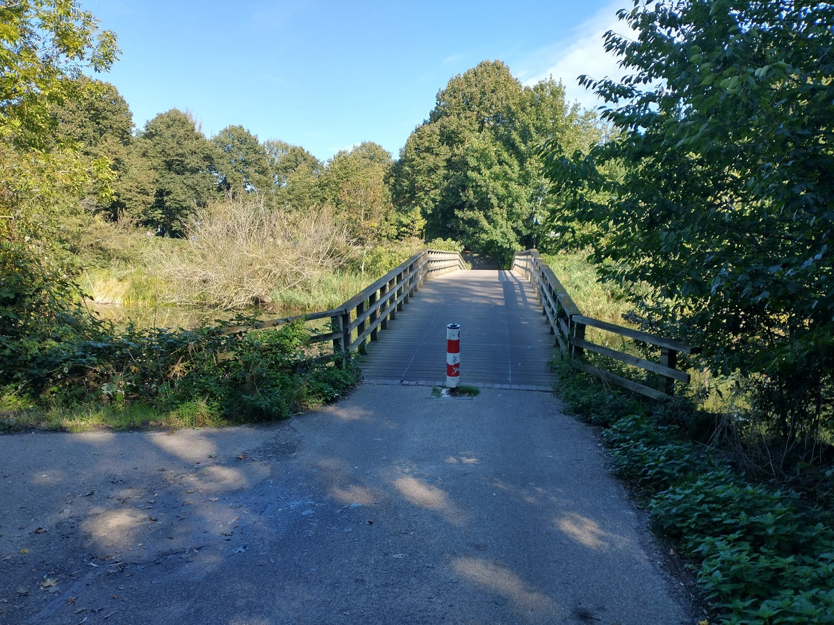 Gevaarlijke en zinloze paaltjes in Den Bosch: de helft kan weg | Foto ...