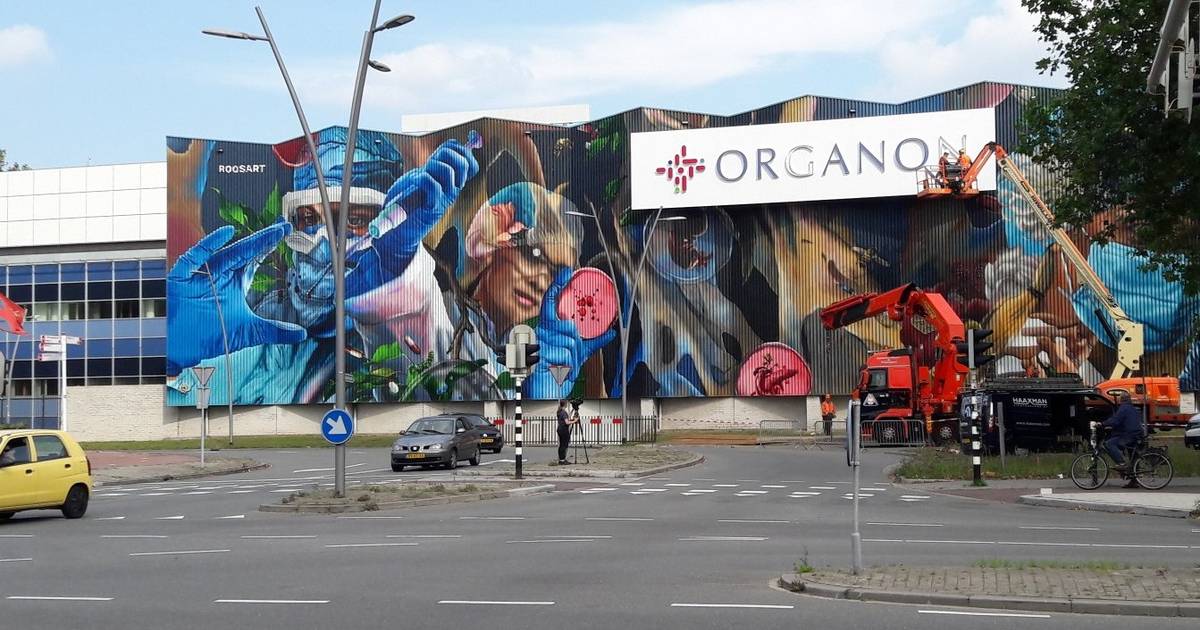 Enorm logo op kunstwerk Organon in Oss: 'Welke lomperik heeft dit ...