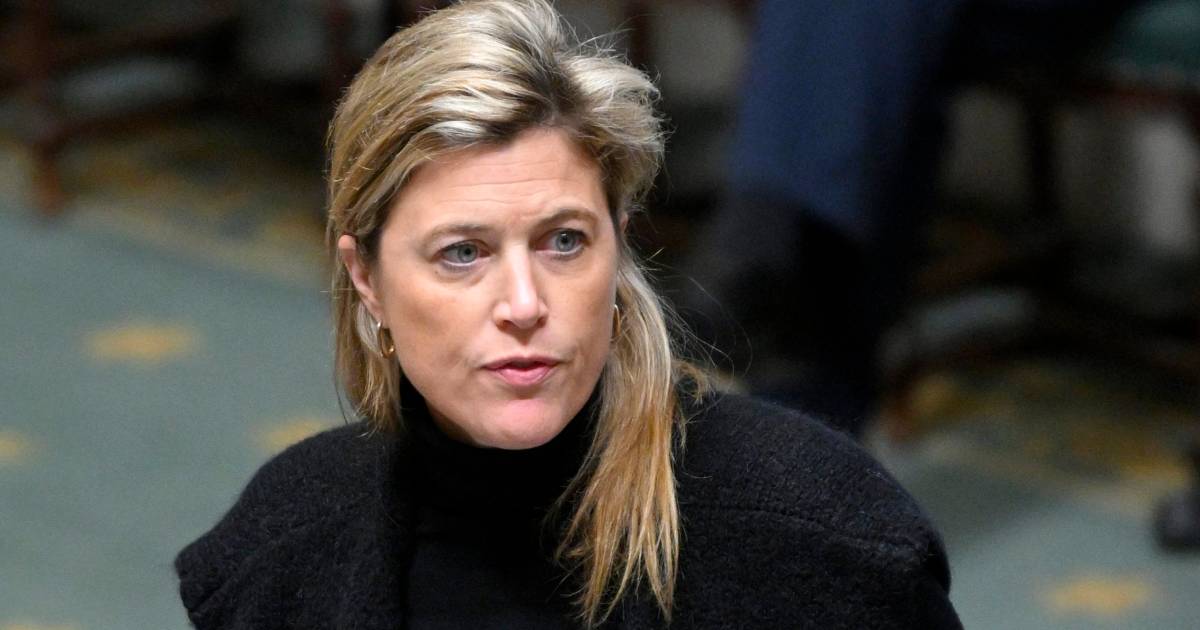 Violences à Anvers: Verlinden plaide pour un commissaire national aux ...