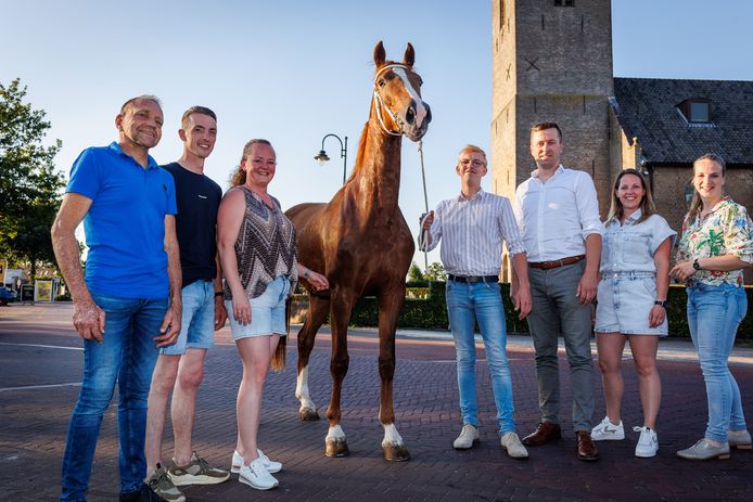 Rouveense ‘missverkiezing’ voor paarden wil fokkerij levend houden ...